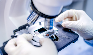 Miracell - Stem Cell Specialist | R&D | Development of cell storage