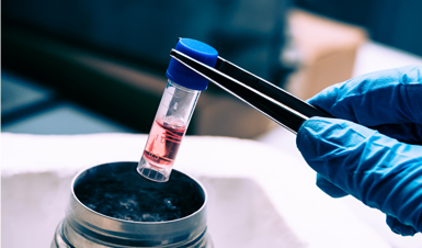 Miracell - Stem Cell Specialist | R&D | Development of cell storage